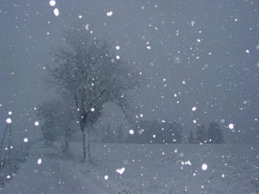 neige
